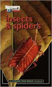 Insects and Spiders (Explore Your World Handbook): DISCOVERY CHANNEL ...