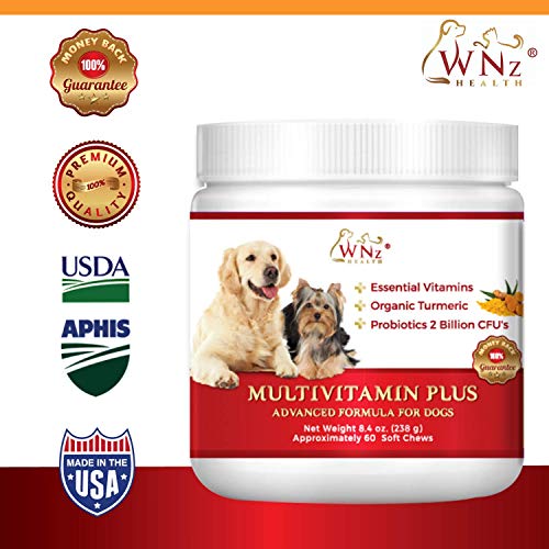 Dog Multivitamins and Supplements, Probiotics for Dogs w/Turmeric & Yucca, Probiotic Dog Chews ...