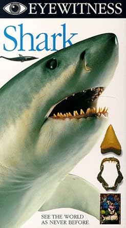 Eyewitness: Shark: Amazon.ca: Video
