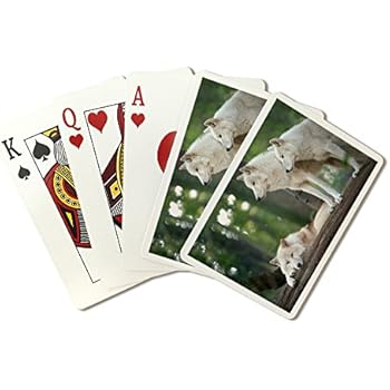 Amazon.com: Arctic Wolves (Playing Card Deck - 52 Card Poker Size with ...
