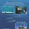 Yoshi and the Ocean: A Sea Turtle's Incredible Journey Home: Moore ...