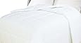 Amazon.com: Natural Comfort White Down Alternative Comforter with ...