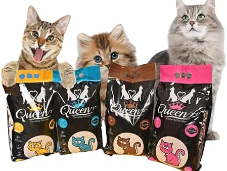 سعر Queen Cat Litter_ 5 Liter (baby powder) فى مصر | بواسطة امازون مصر ...
