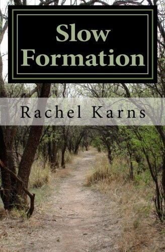 Slow Formation (Gray): Karns, Rachel: 9781492160410: Amazon.com: Books