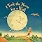 Amazon.com: I Took the Moon for a Walk: 9781846862007: Curtis, Carolyn ...