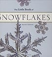 Amazon.com: The Snowflake (0091981063085): Kenneth Libbrecht: Books