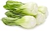 (VCABO)~"BOK Choy PAK Choi" Chinese Cabbage~Seed!!~~~~~~~Stir Fry! in ...