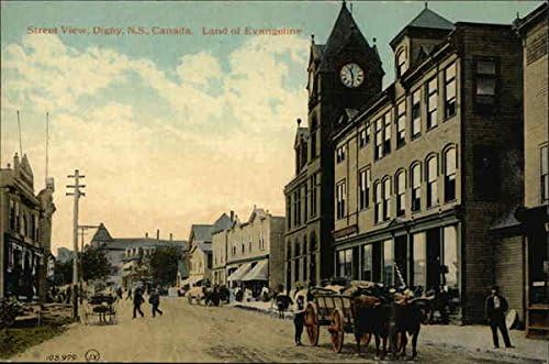 Street View Digby, Nova Scotia NS Canada Original Vintage Postcard at ...