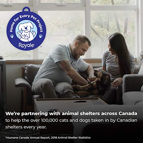 Okpet Wireless Dog Fence System at Virginia Morgan blog