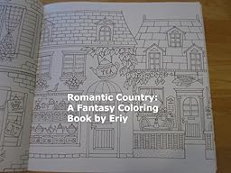 Amazon.com: Romantic Country: A Fantasy Coloring Book (9781250094469 ...