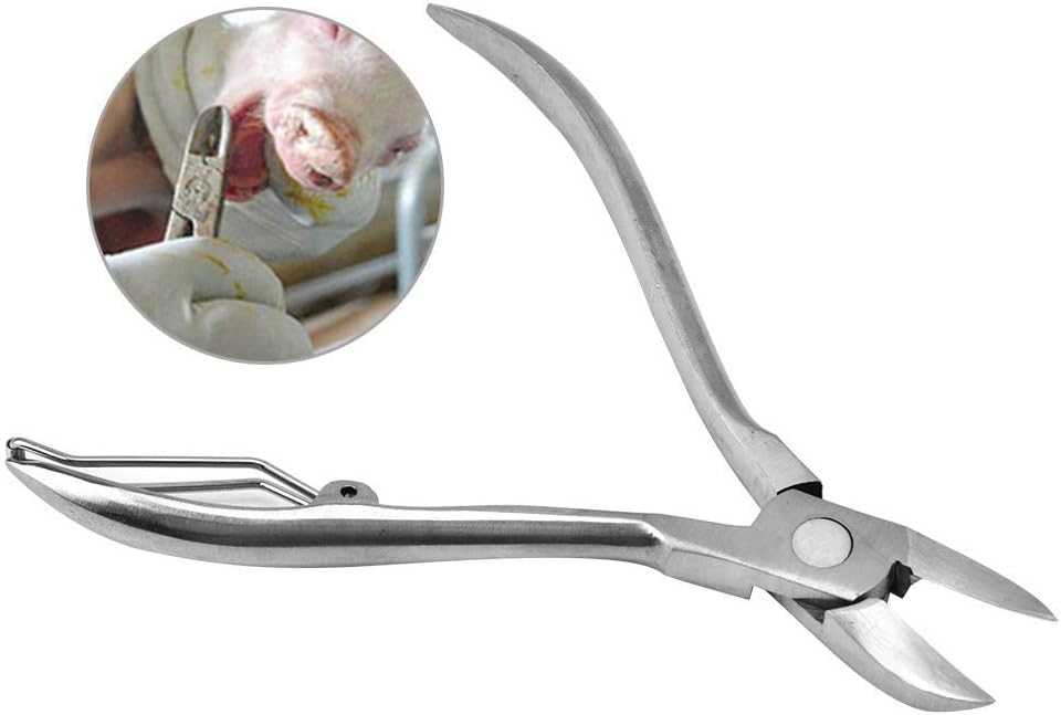 Stainless Steel Pig Tooth Nipper Piglets Teeth Clipper Teeth Cutter ...