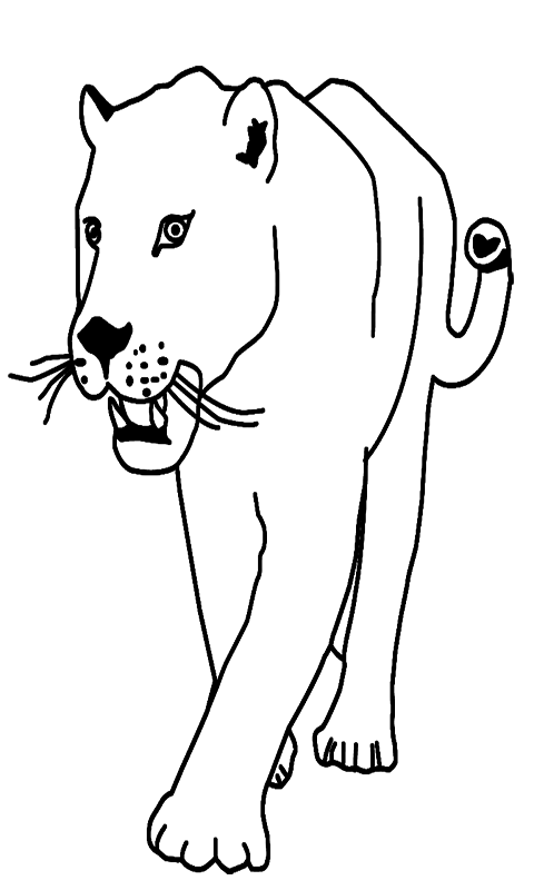 App It Fill and Color Blank Zoo Animals:Amazon.de:Appstore for Android