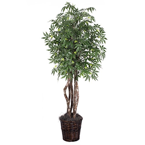 Amazon.com: Vickerman 6' Artificial Japanese Maple Executive set in ...