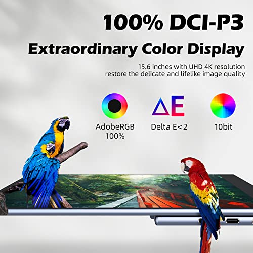 OLED Portable Monitor 4k Touchscreen 15.6 Inch USB-C UHD 3840x2160 ...