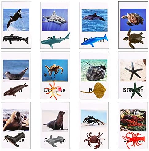 12 pcs Ocean Sea Animal Figures with 12pcs Matching Cards - OOTSR Ocean ...