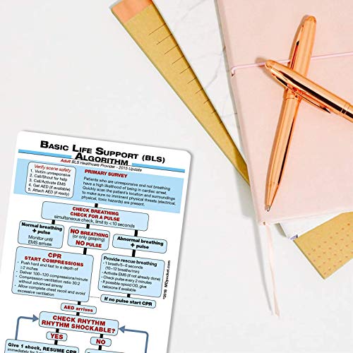 Adult Basic Life Support Card (BLS) on Galleon Philippines