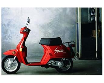 Amazon.com: 1987 Honda Spree Motor Scooter Factory Photo: Entertainment ...