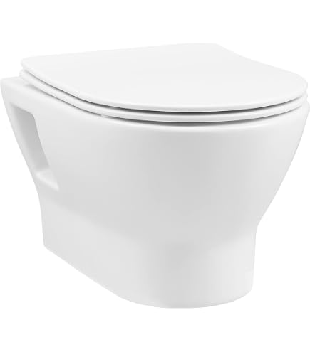 Lagoon Wall Hung Wc