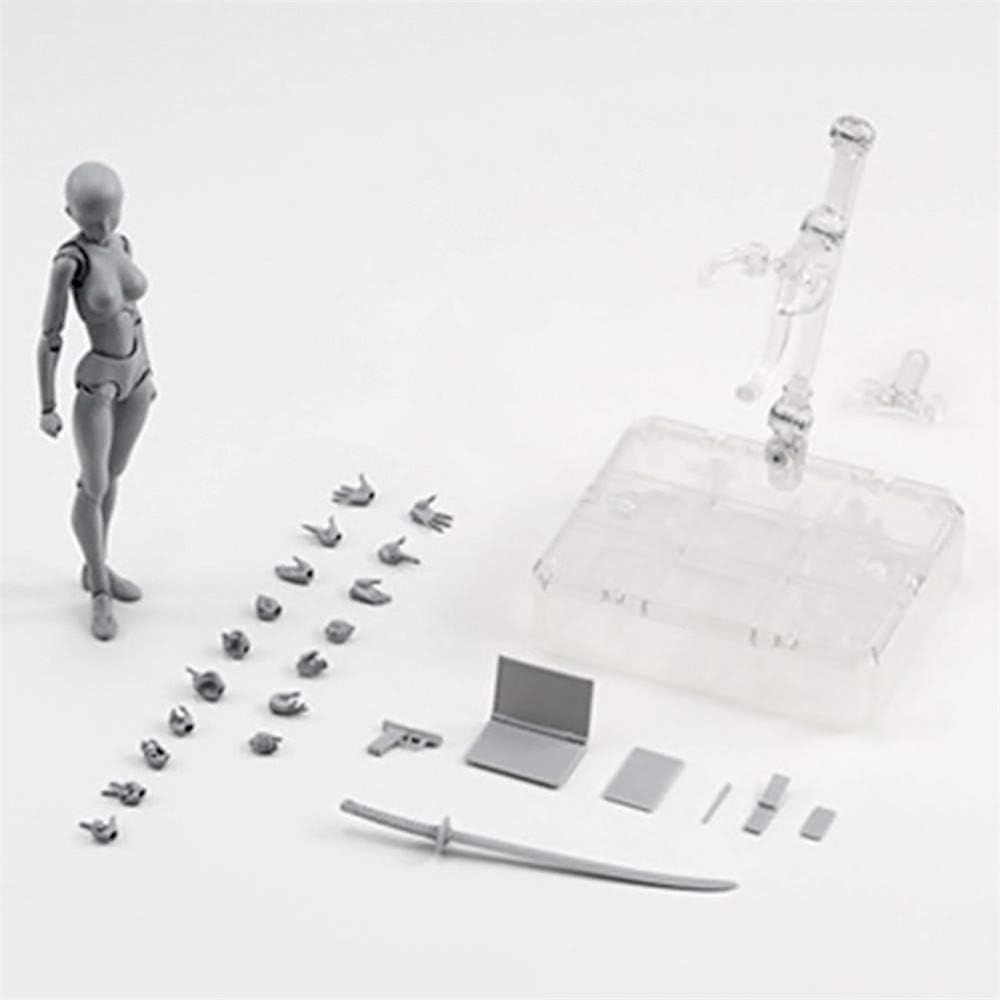$6/mo - Finance Body-Chan Figure Body Kun Doll PVC Body Chan DX Action ...