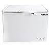 DUURA Chest Freezer Sub Zero Commercial Freezer with Split Top Double Locking Lids, Indoor or ...