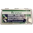 Amazon.com: Littelfuse 00940560ZXA MIRCRO2 Blade Fuse Commercial Assortment, 70-Piece : Automotive