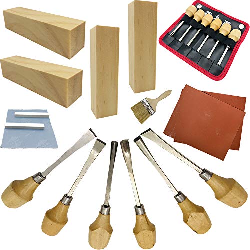 Fycooler Wood Carving Tools Set,20Pcs Wood Carving Tools Kit with ...