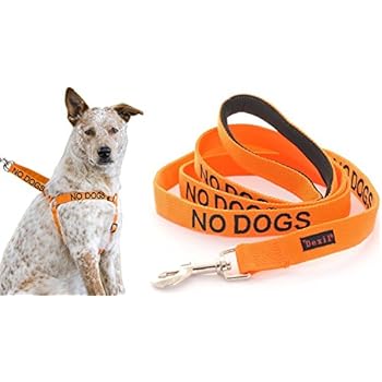 Amazon.com : No Dogs Orange Color Coded Alert L-XL Non pull Dog Harness ...