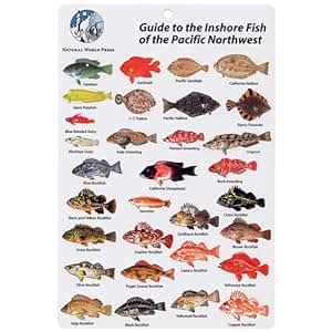 Inshore Fish of The Pacific Northwest.: Amazon.ca: Sports & Outdoors