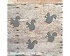 Amazon.com: Squirrel Confetti, Animal Decorations, Woodland Party ...