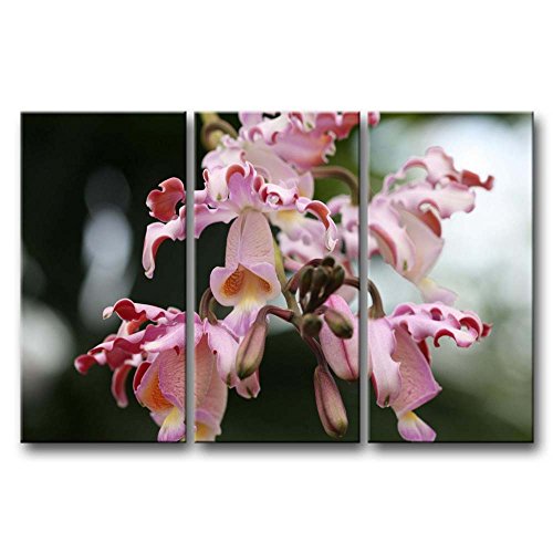 Gorgeous, Exotic and Splendid Orchid Flower Wall Art - Floral Wall Decor