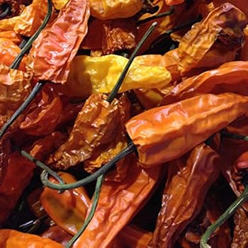 Amazon.com : Chilhuacle Amarillo Chile Grown in The USA, 20 Seeds ...