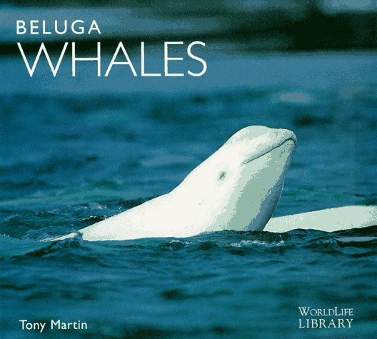 Beluga Whales (WorldLife Library Series): Martin, Tony: 9780896583061 ...