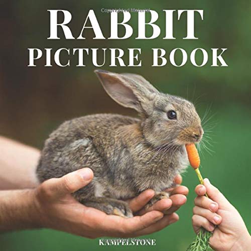 Rabbit Picture Book: Gift Book of 100 Images of Bunnies - For Adults ...