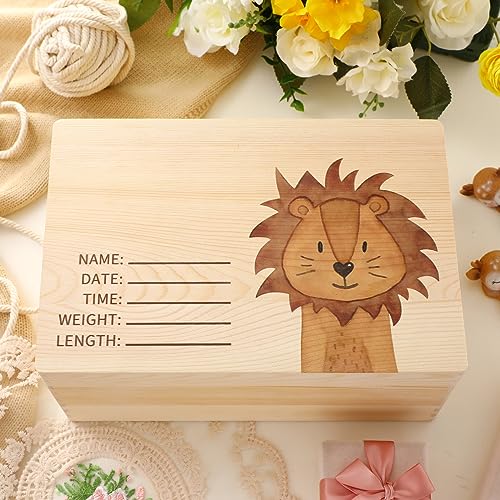 Storage Boxes & Chests Oman | Buy Online | Whizz Others