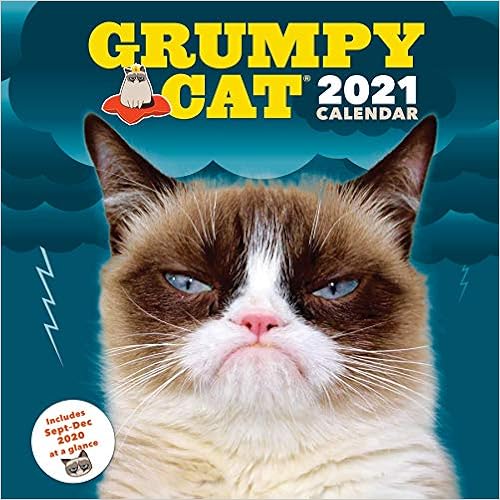 Grumpy Cat Grumpy Cat 2021 Calendar fiche de lecture – Jawad Mateo Free ...