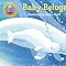 Baby Beluga: Raffi, Wolff, Ashley: 8601419035120: Books - Amazon.ca