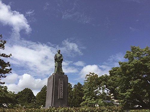 Historical Drama Does Not Die Chanbara Aesthetics [DVD] JAPANESE ...