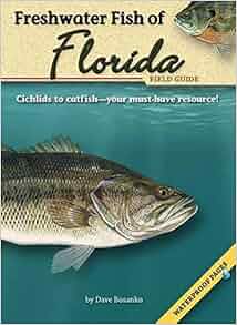 Freshwater Fish of Florida Field Guide (Fish Identification Guides ...