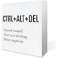 Amazon.com: Ctrl Alt Del Motivational Sayings Quote Desk Decor, Office ...