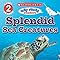 Amazon.com: Icky Sticky Readers: Splendid Sea Creatures (Scholastic ...