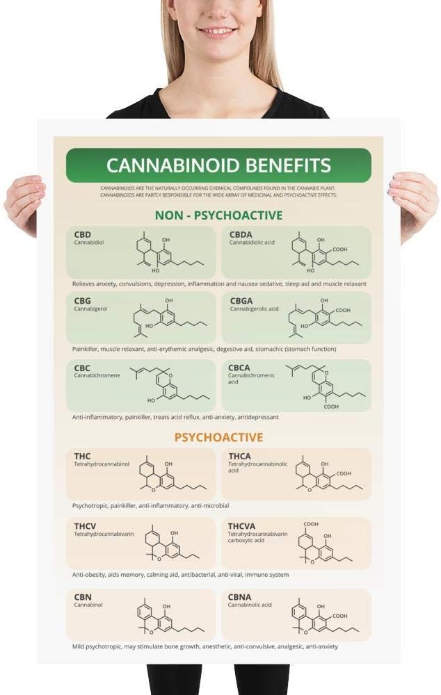 Amazon.com: Anything Prints Unlimited Cannabinoid Benefits Poster ...