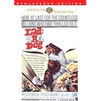 Lad: A Dog: Albert Payson Terhune, Sam Savitt: 9780140364743: Amazon ...