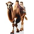 Amazon.com: Camel - Life Size Cardboard Cutout Standup People with ...