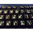 Amazon.com: Spanish/English Keyboard Stickers with Fluorescent Inlays ...