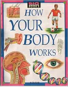 How Your Body Works (Reference): 9781859930250: Amazon.com: Books
