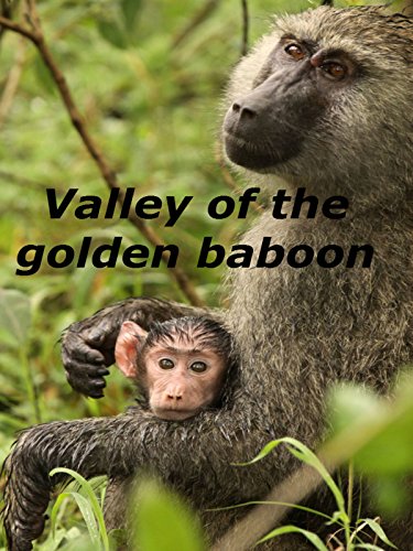 Valley of the golden baboon : Watch online now with Amazon Instant ...