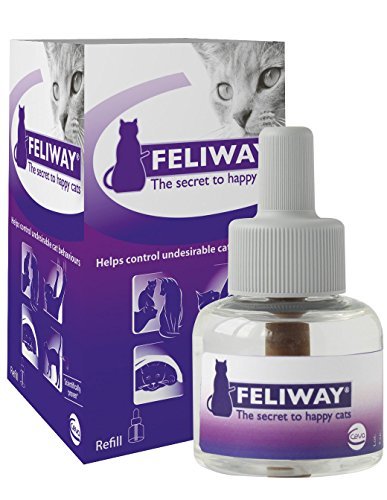 Buy Feliway 48 Ml Refill Only for Diffuser Plug-in Cat Feline Stress ...