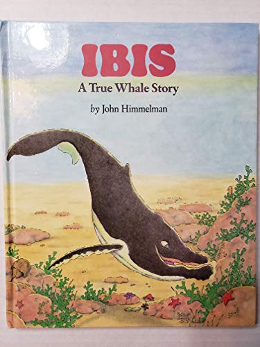 Ibis: A True Whale Story: John Himmelman: 9780590447829: Amazon.com: Books