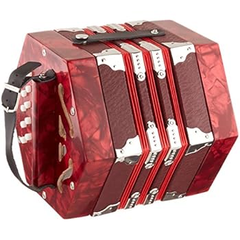 Amazon.com: Johnson FI-120 Concertina - 20 Button Anglo Style: Musical ...