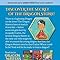 Amazon.com: Search for the Lightning Dragon: A Branches Book (Dragon ...